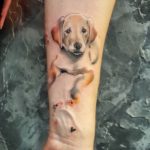 Tatuajes de Perros, diseños de patitas, pitbull, labradores, salchicas y más