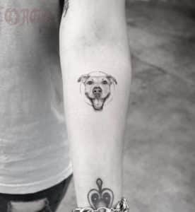 Tatuajes de Perros, diseños de patitas, pitbull, labradores, salchicas y más